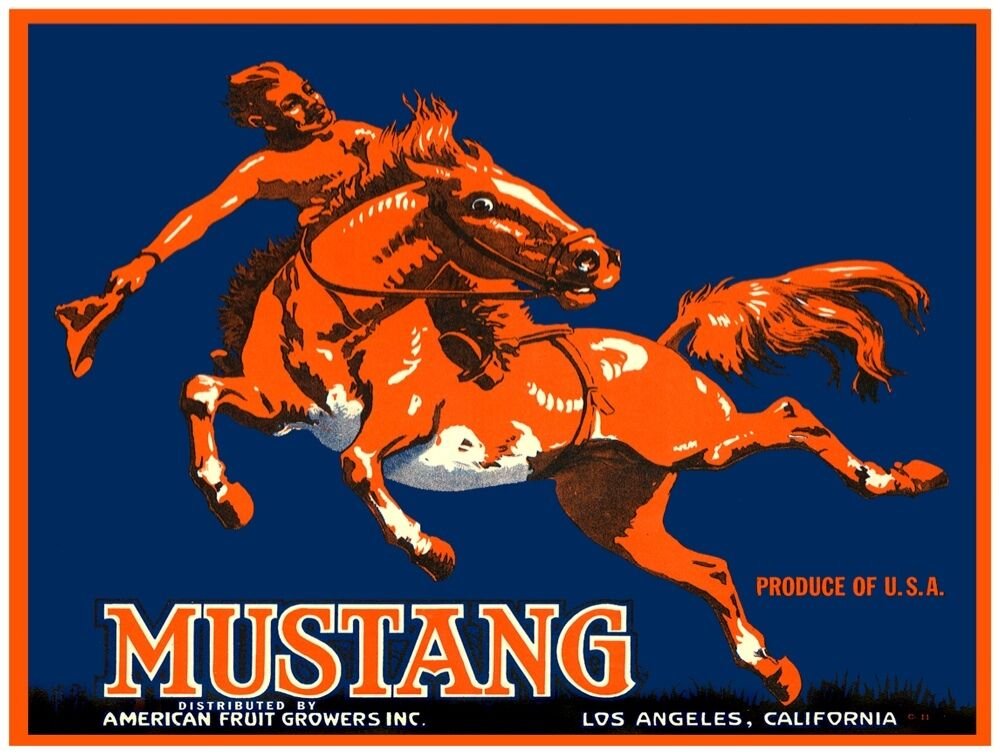 8839.Decoration Poster.Mustang red horse.Room art wall decor graphic art