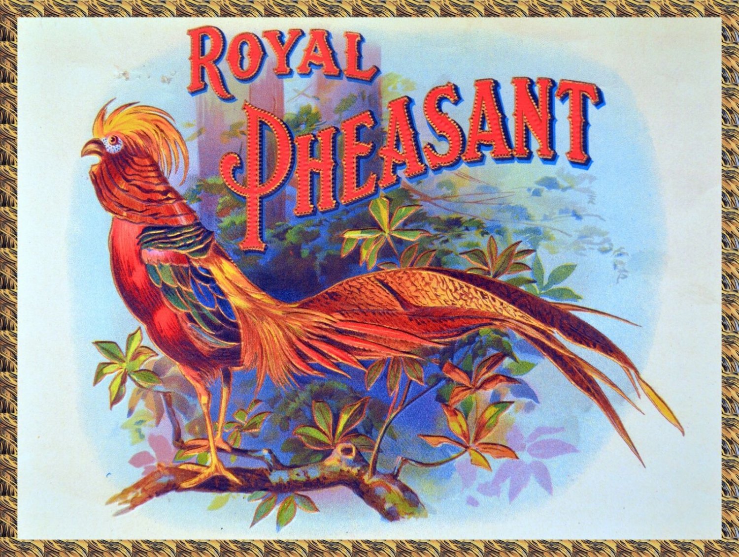 10894.Poster decoration.Home interior.Room wall art design.Royal ...