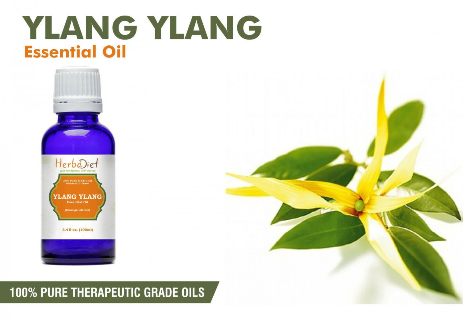 30 ML Ylang Ylang Essential Oil 100% Pure Natural PREMIUM Therapeutic ...