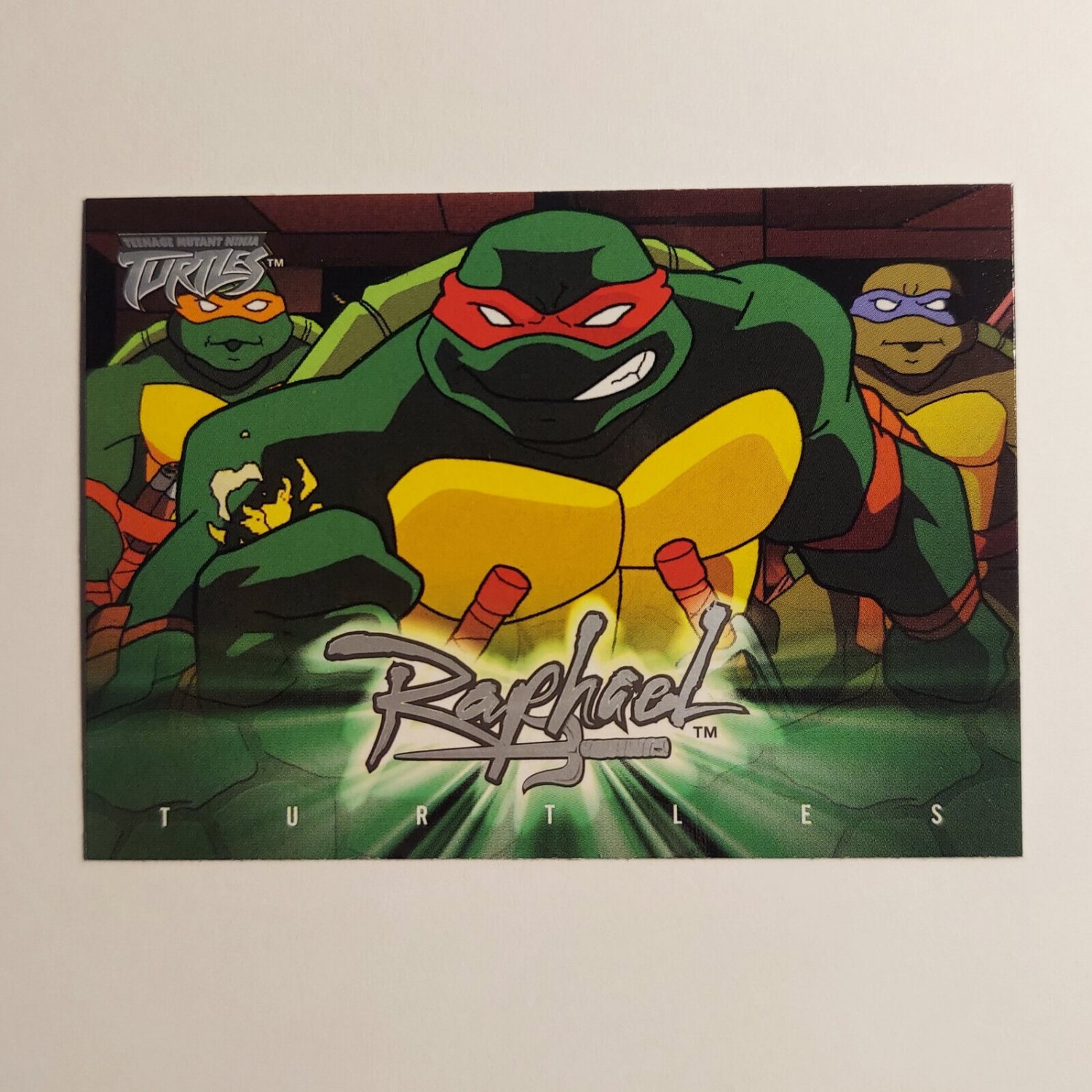 2003 Fleer Teenage Mutant Ninja Turtles Card #30 Raphael Weaknesses