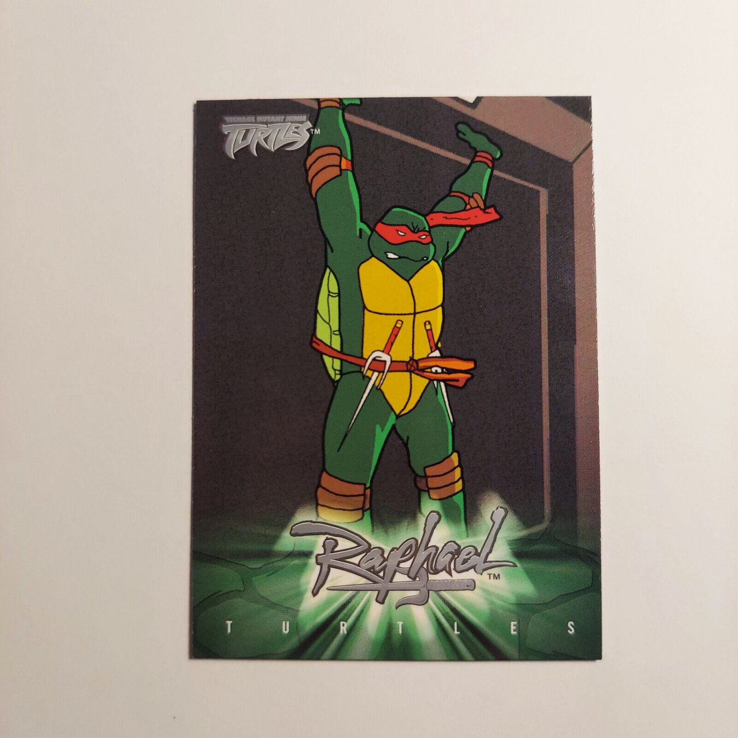 2003 Fleer Teenage Mutant Ninja Turtles Card #35 Raphael Turtle-ism