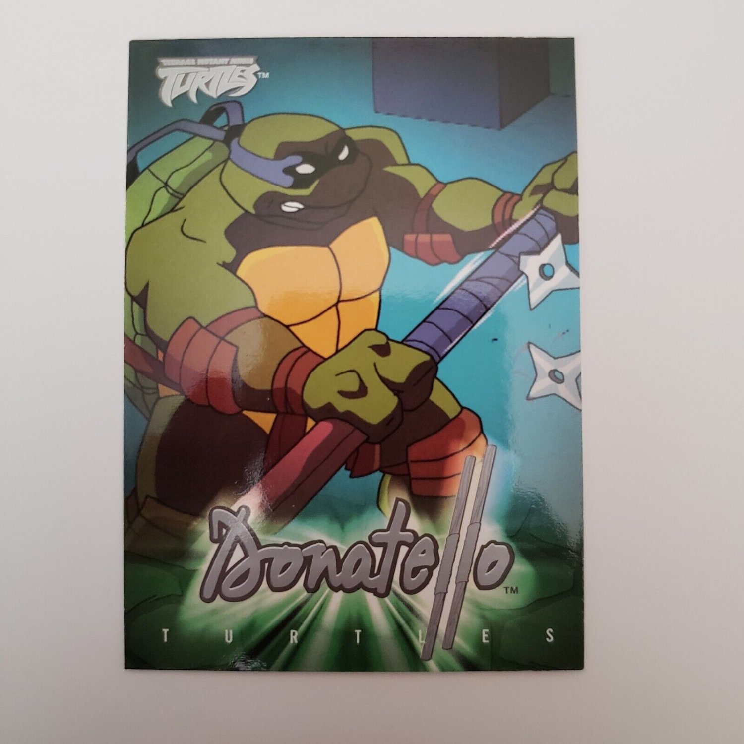 2003 Fleer Teenage Mutant Ninja Turtles Card #16 Donatello Renaissance ...
