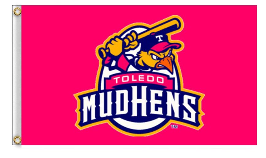 MiLB Toledo Mud Hens Flag 3*5ft (90cm*150cm) Polyester flag Banner ...
