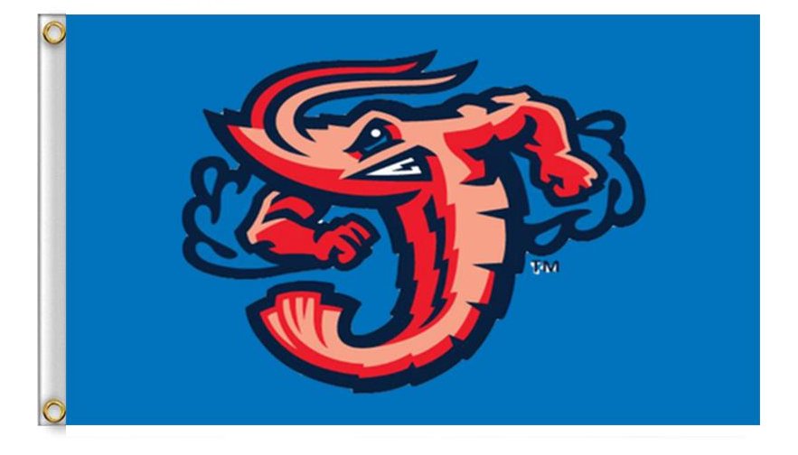 Jacksonville Jumbo Shrimp Flag 3*5ft (90cm*150cm) Polyester flag Banner ...