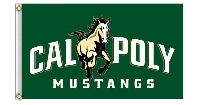 Flag of NCAA Cal Poly Mustangs Newly polyester Flag banner 3ft*5ft