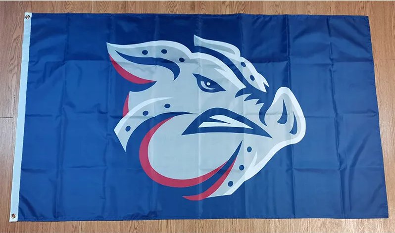 MiLB Lehigh Valley IronPigs Flag 3*5ft (90cm*150cm) Polyester flag Banner