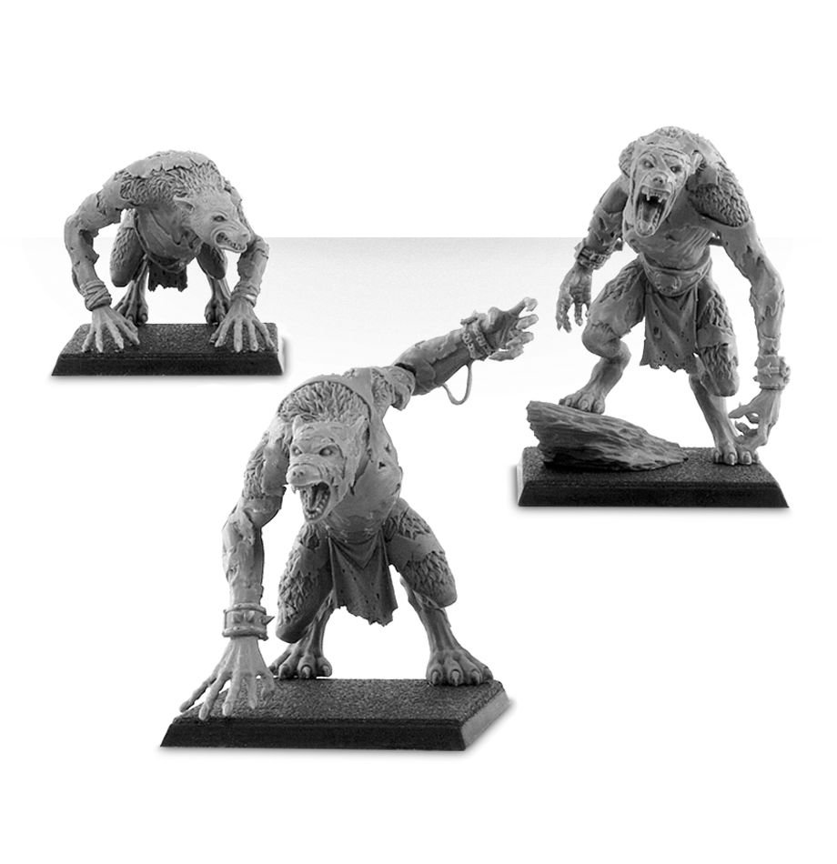 3pcs Skin Wolves Chaos Army Age of Sigmar Warhammer Fantasy Forge World ...