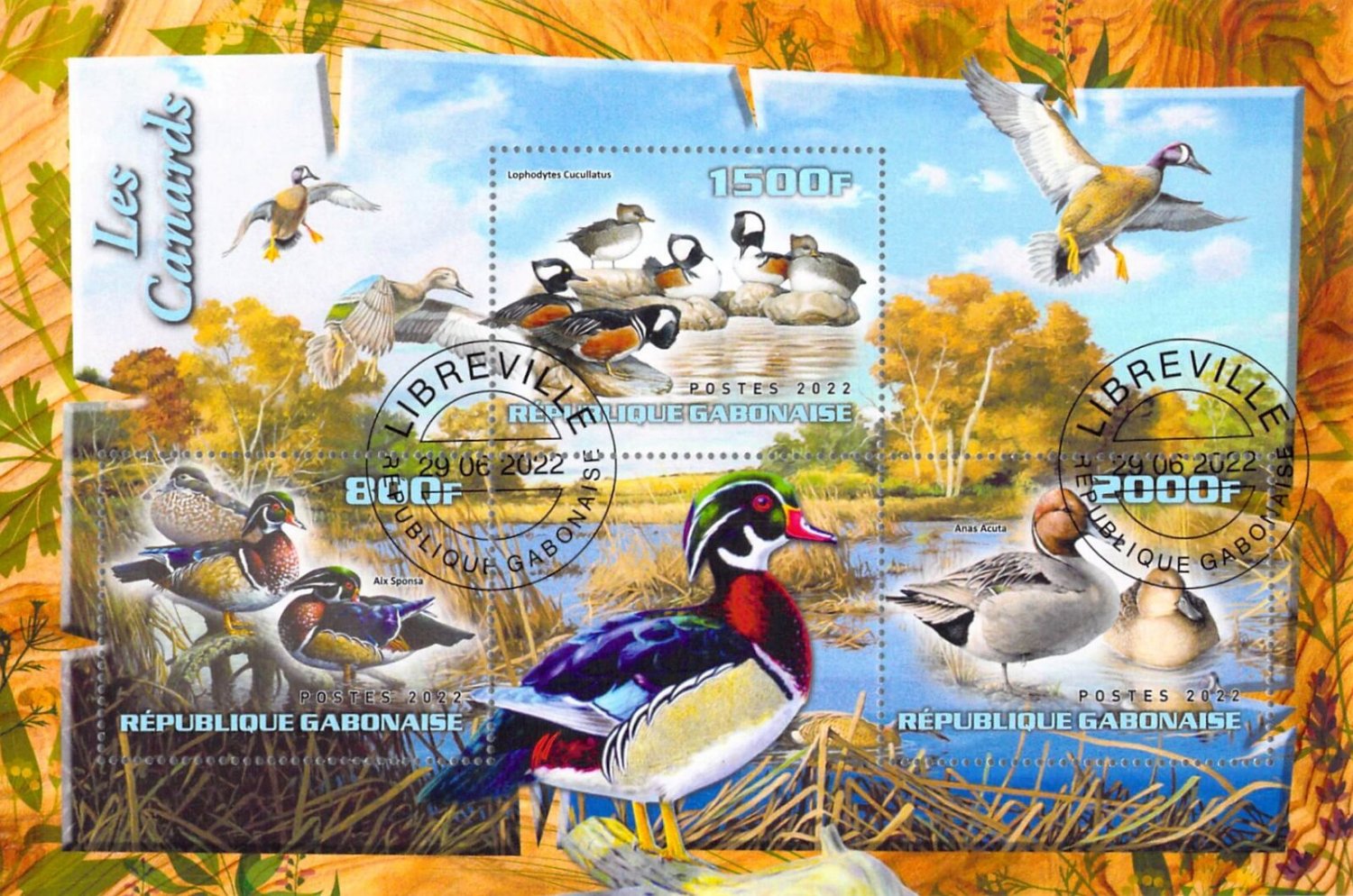 Gabon 2022 Sheet Ducks birds 3 values (TS0168)