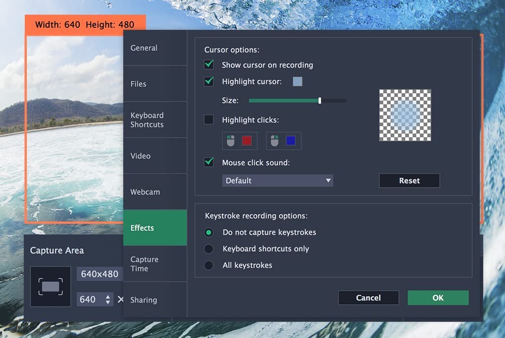 Movavi Screen Recorder 9 Release WIN Web Video Calls Lifetime Fast ...