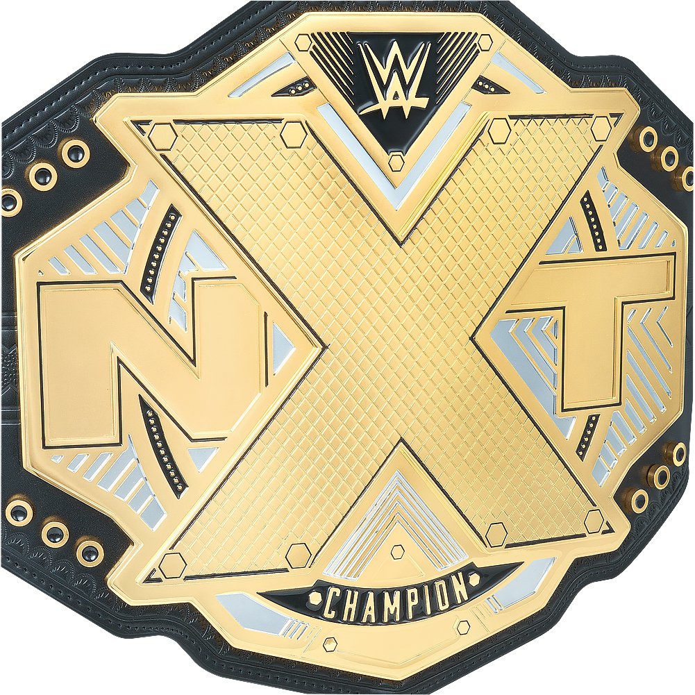 NXT Championship Title Belt (2017) with Free Carrying Bag