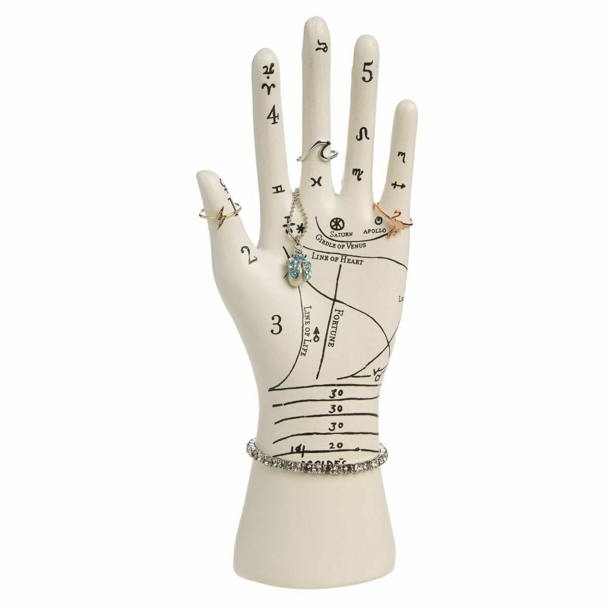 Creative Co-Op Palmistry Hand Jewelry Stand Sculpture Display Rings ...