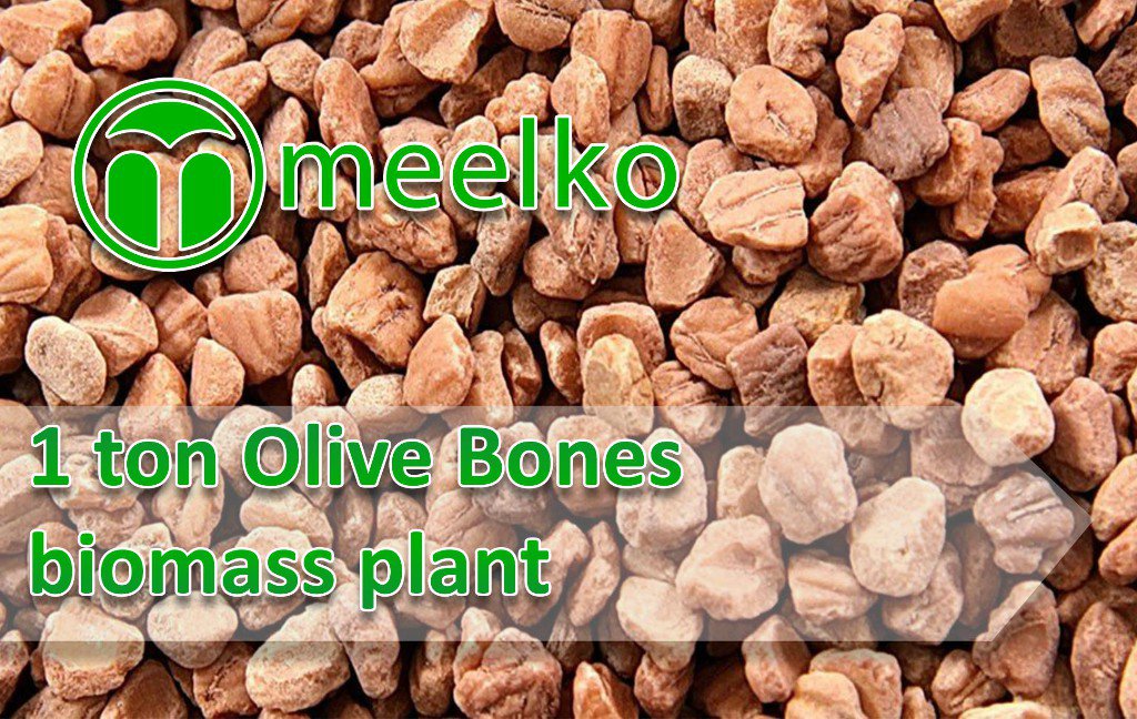1 ton Olive Bones biomass plant