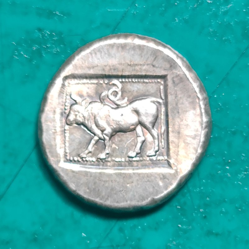 Buffalo Animal Ancient Greek Coins-16mm