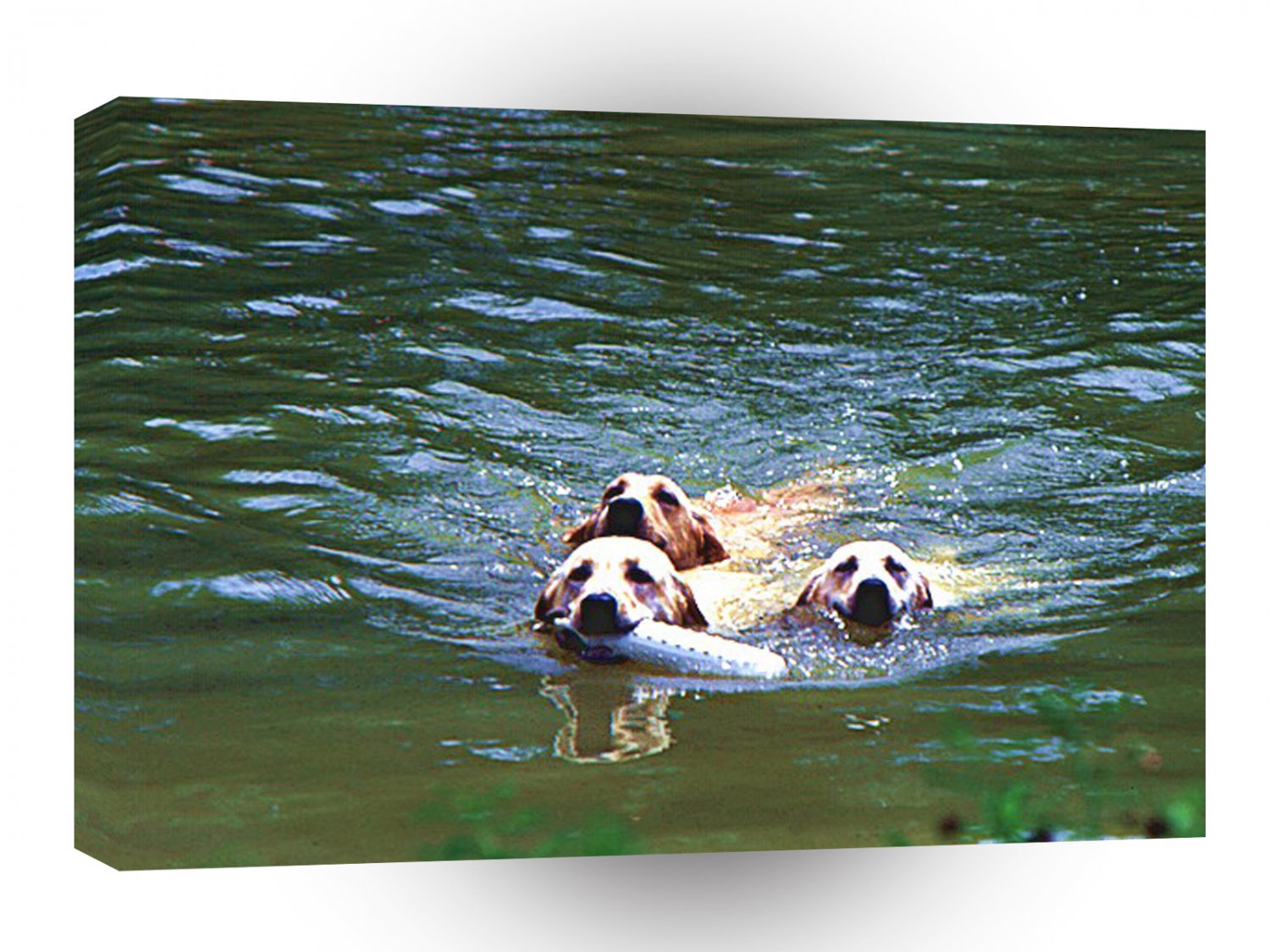 Labrador Day At The Races A1 Xlarge Canvas