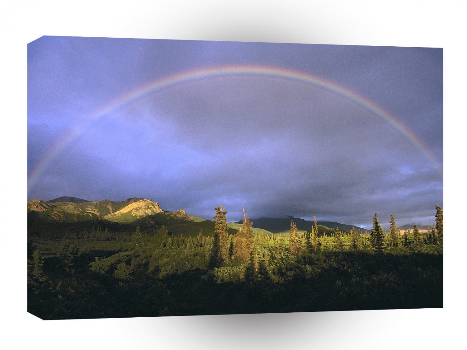 Rainbow Full Fall Denali Alaska A1 XLarge Canvas