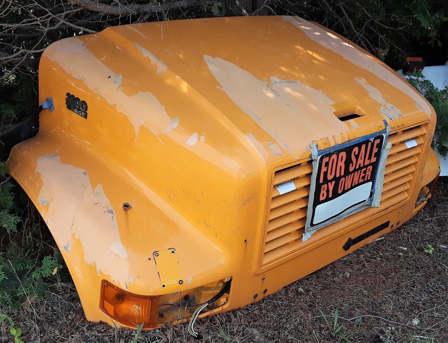 INTERNATIONAL 3800 YELLOW BUS / TRUCK HOOD