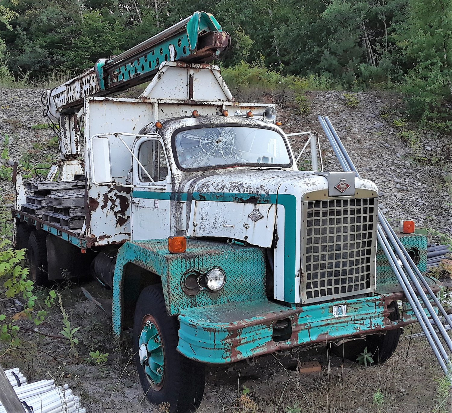 1970 DIAMOND RIO C10164 CRANE TRUCK