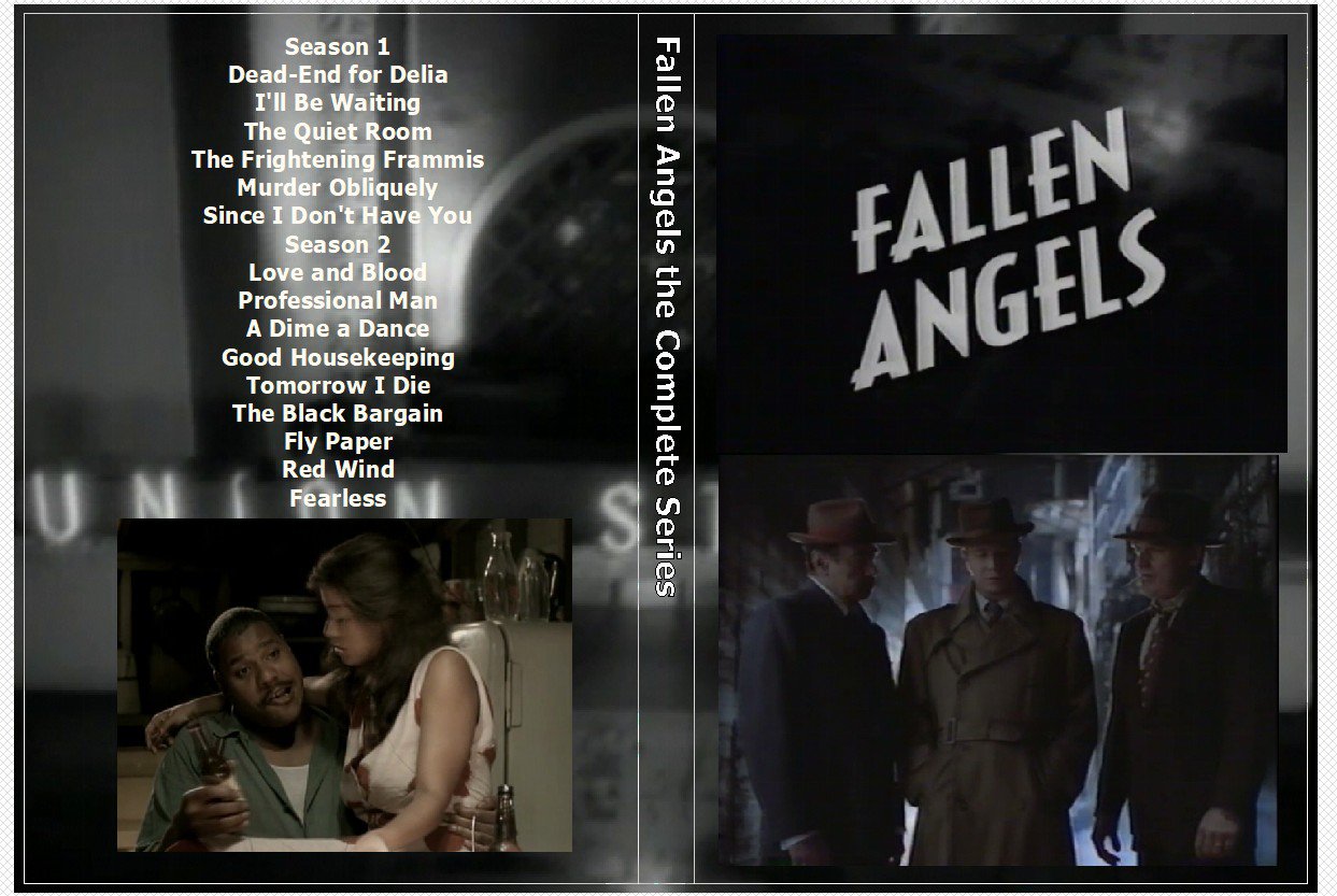 Fallen Angels the Complete Series on 2 DVD’s