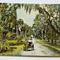 Orange Avenue Daytona Beach FL Divided Back Postcard Horse and Buggy