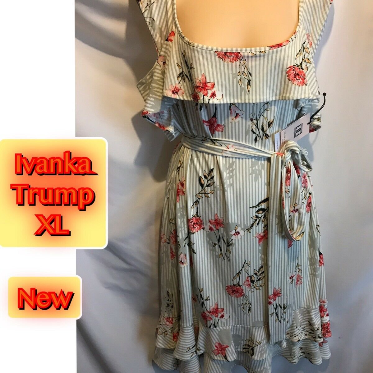 Ivanka Trump Georgia Peach Women Dress