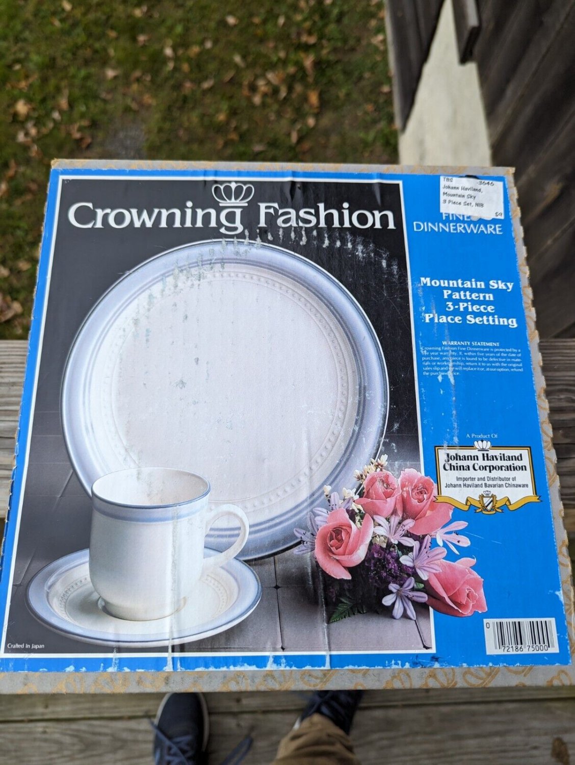 Set Of 2 Johann Haviland Crowning Fashion Mountain Sky Dinner Plate Cup ...