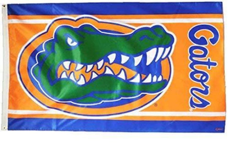 Florida Gators Logo Banner Flag 3x5 ft