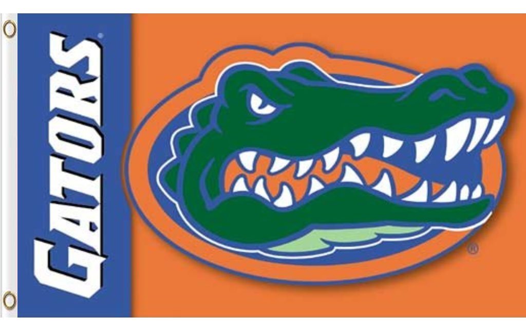 Florida Gators Logo Banner Flag 3x5 ft