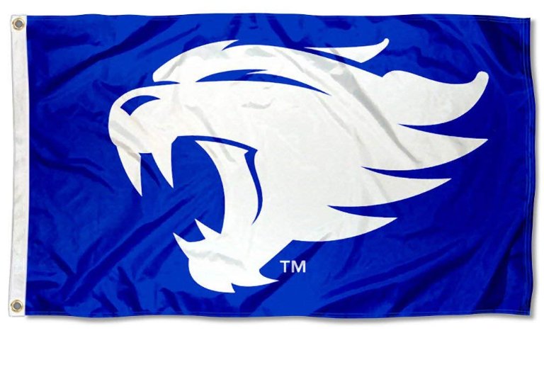 Kentucky Wildcats Logo College Banner Flag 3x5 ft