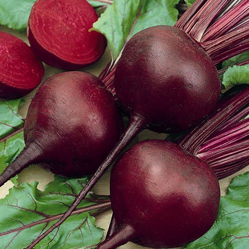 Beet Seed: Detroit Dark Red Beet Seeds Packet Size: 150+ seed