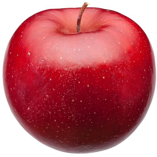 Red Rome Beauty Apple 4-5', Bare root, No Ship to CA, January-April