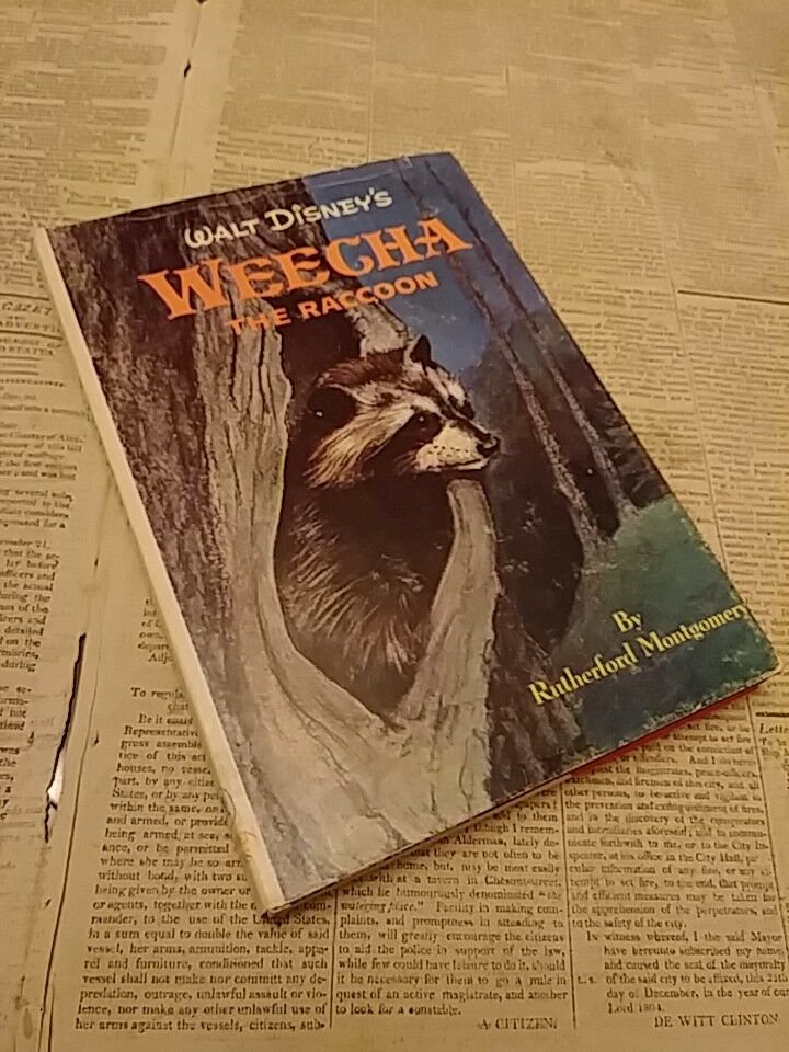 Walt Disney's Weecha the Raccoon - Rutherford Montgomery 1st edition ...
