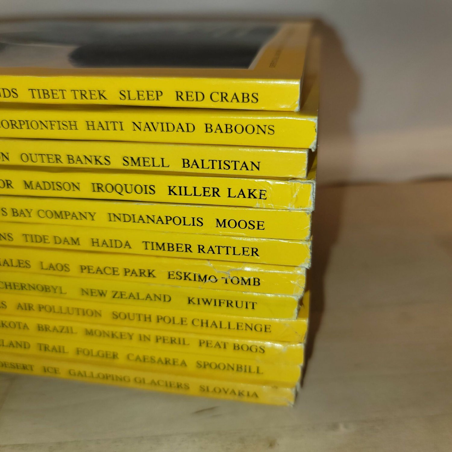 National Geographic Magazine 1987 Year 12 Inserts Monthly Seals Women ...