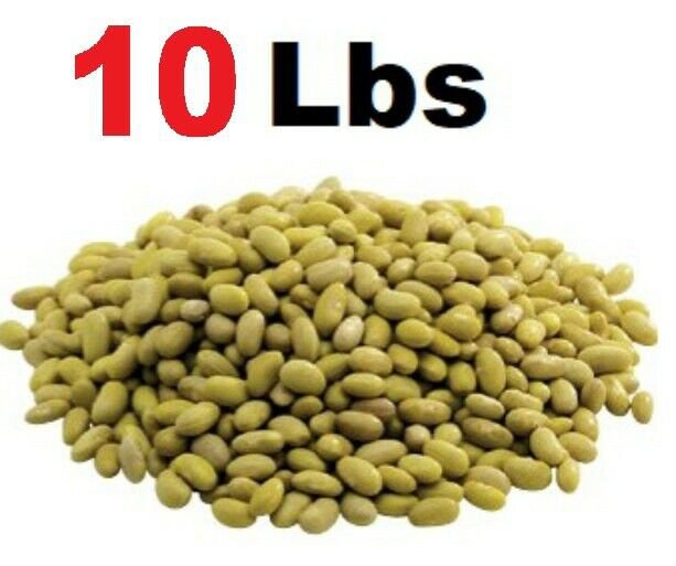 Peruvian Beans - Frijol Peruano - 10 LBS Mexican Yellow Beans ...