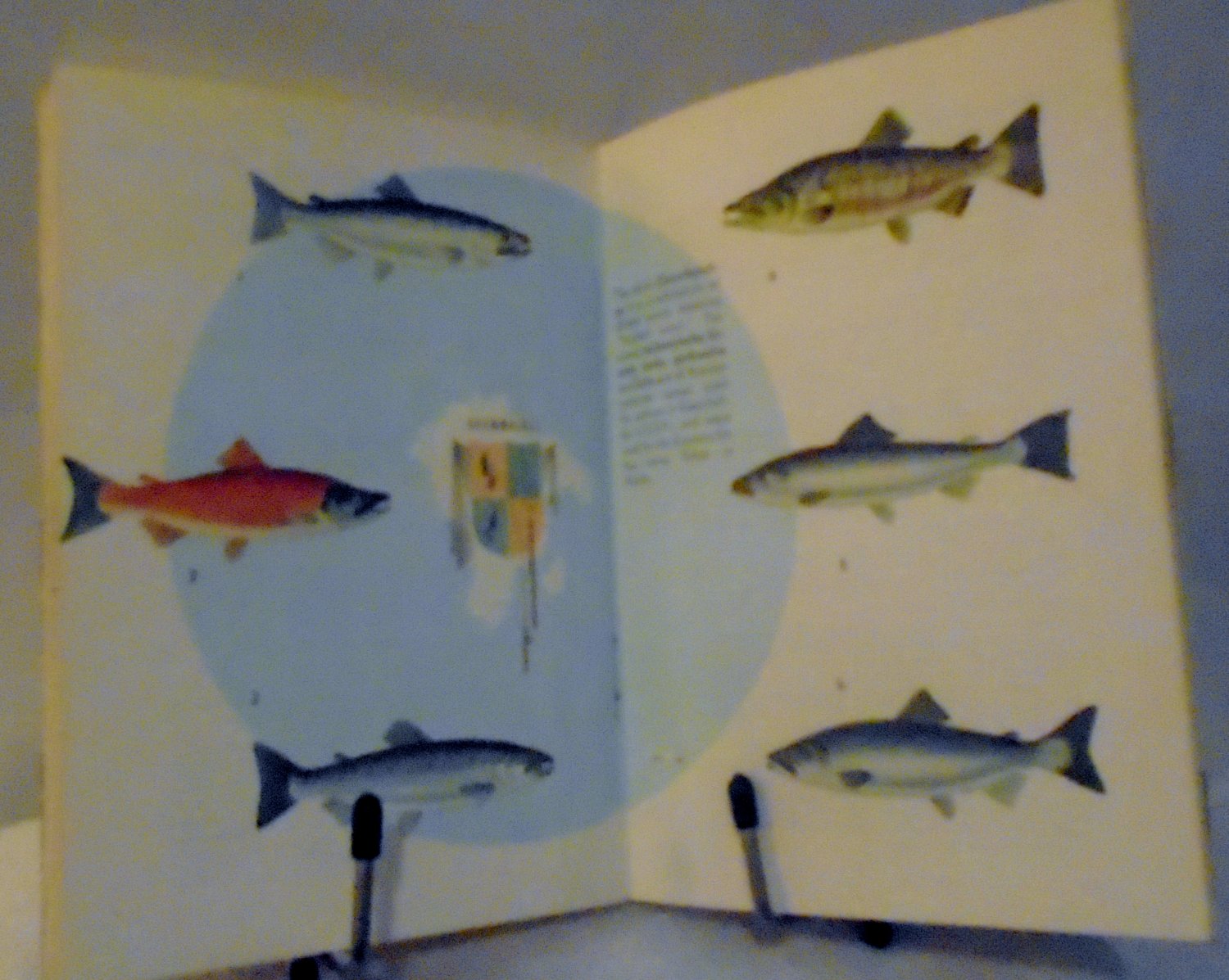 Know your fish paperback - A book vintage 1960 sports afield tom dolan