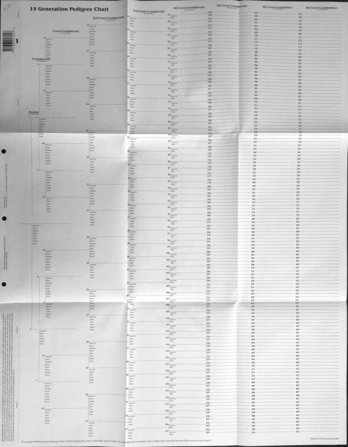 15 Generation Pedigree Chart - 10 pack