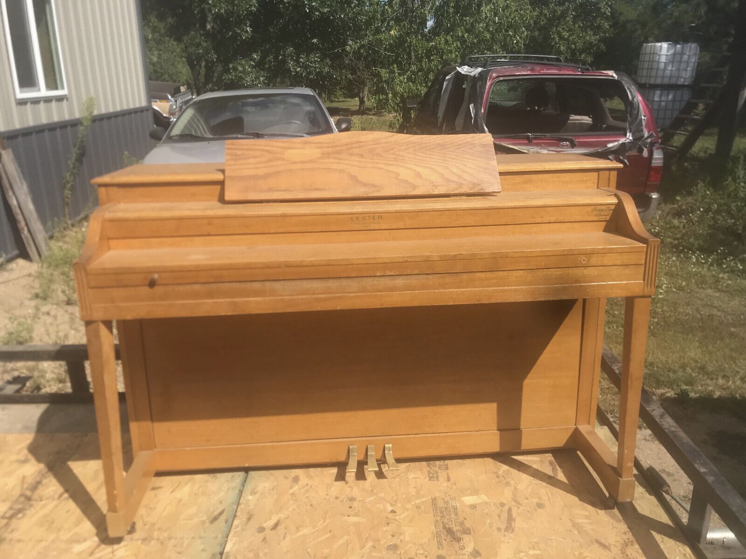 LESTER Light Wood Upright Piano for Church Home Kids Lessons Local ...