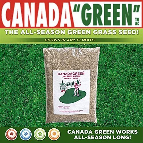 Canada Green Grass 11lbs