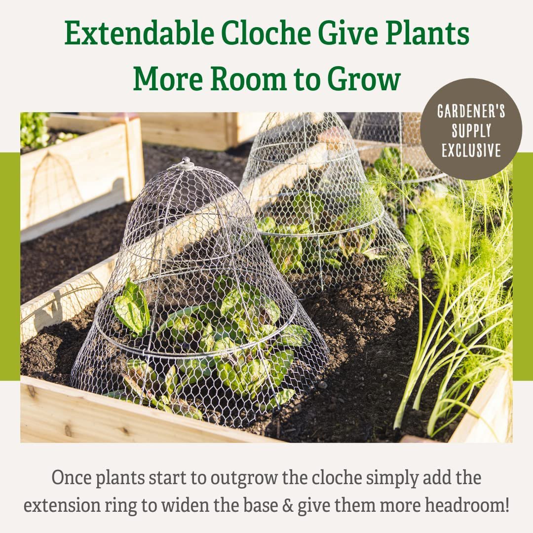 Chicken Wire Cloche with Extension