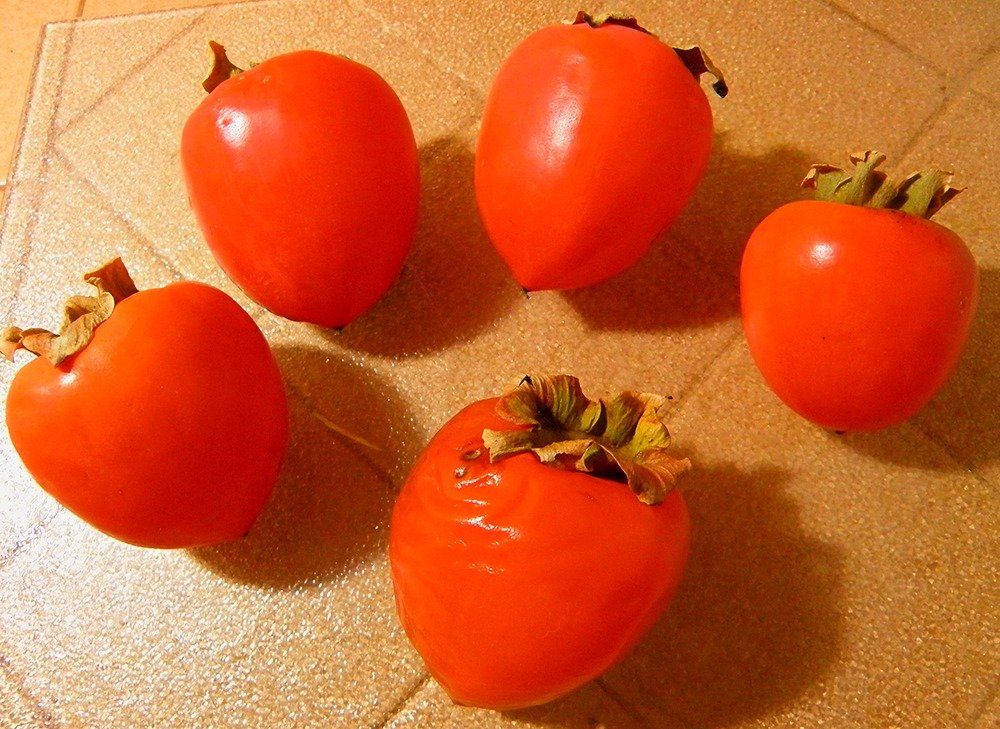 SEEDS – Dwarf Persimmon “Saijo” Heavy Bearing Fruit Tree, Ideal for ...