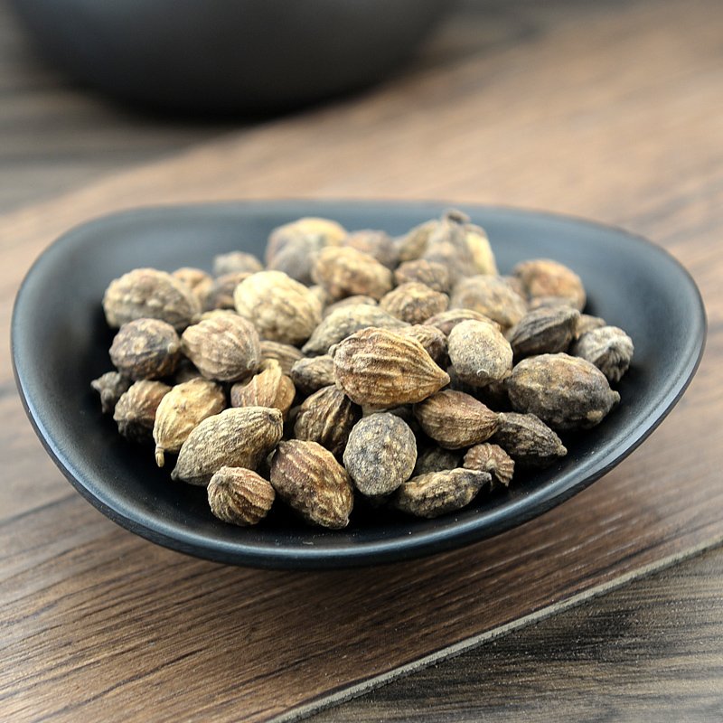 Yi Zhi Ren 500g Sharpleaf Galangal Fruit Fructus Alpiniae Oxyphyllae