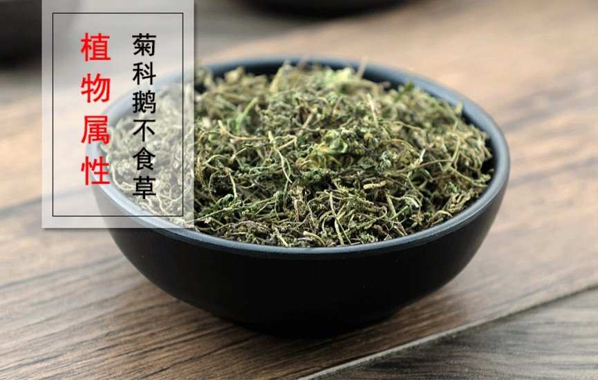 E Bu Shi Cao 500g Herba Centipedae Small Centipeda Herb
