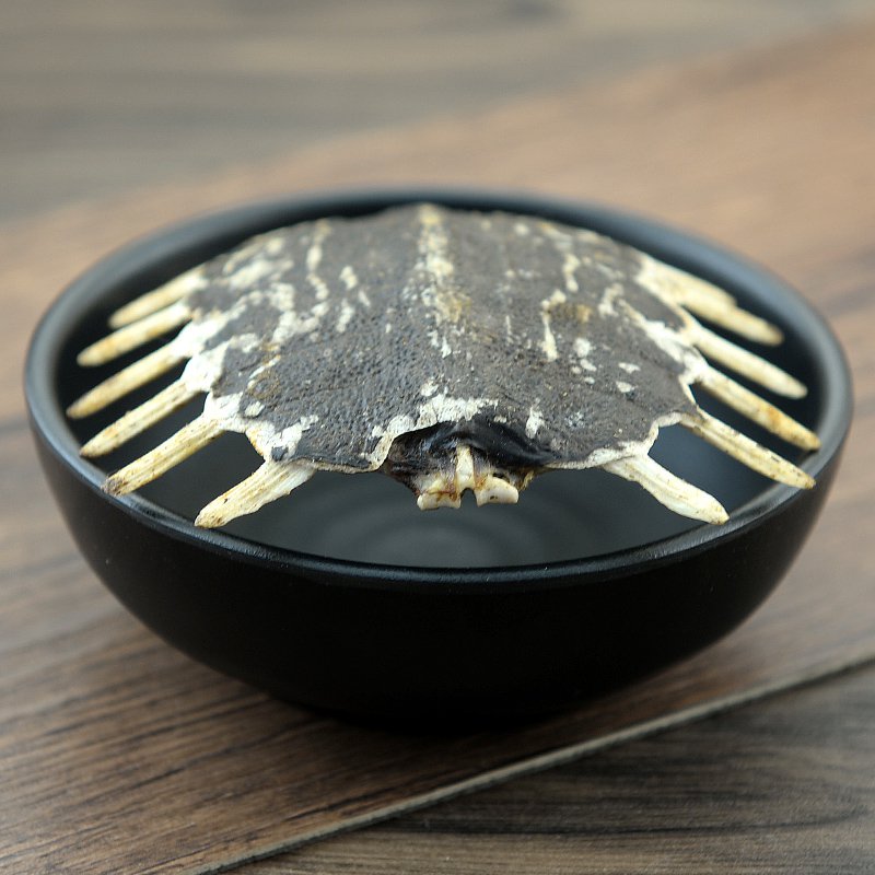 Bie Jia 500g Turtle Shell Carapax Trionycis Trionyx Sinensis Wiegmann