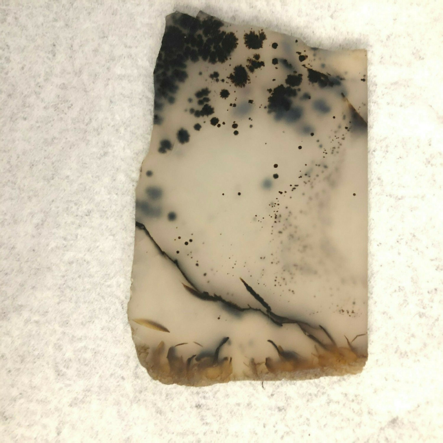 Old Stock Dendritic Montana Moss Agate Slab, Flower Trees Mountains ...