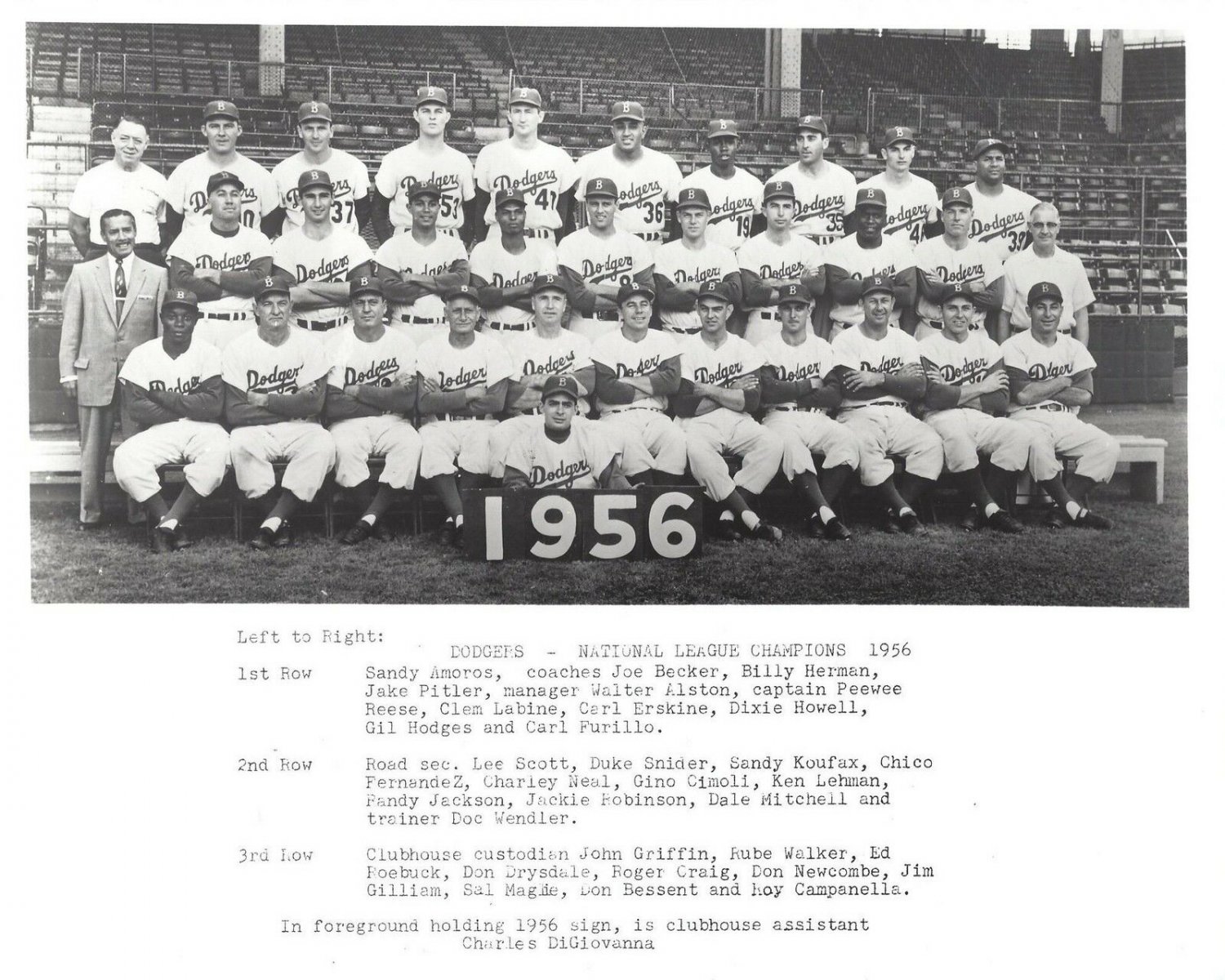 1956 BROOKLYN DODGERS 8X10 TEAM PHOTO BASEBALL MLB PICTURE
