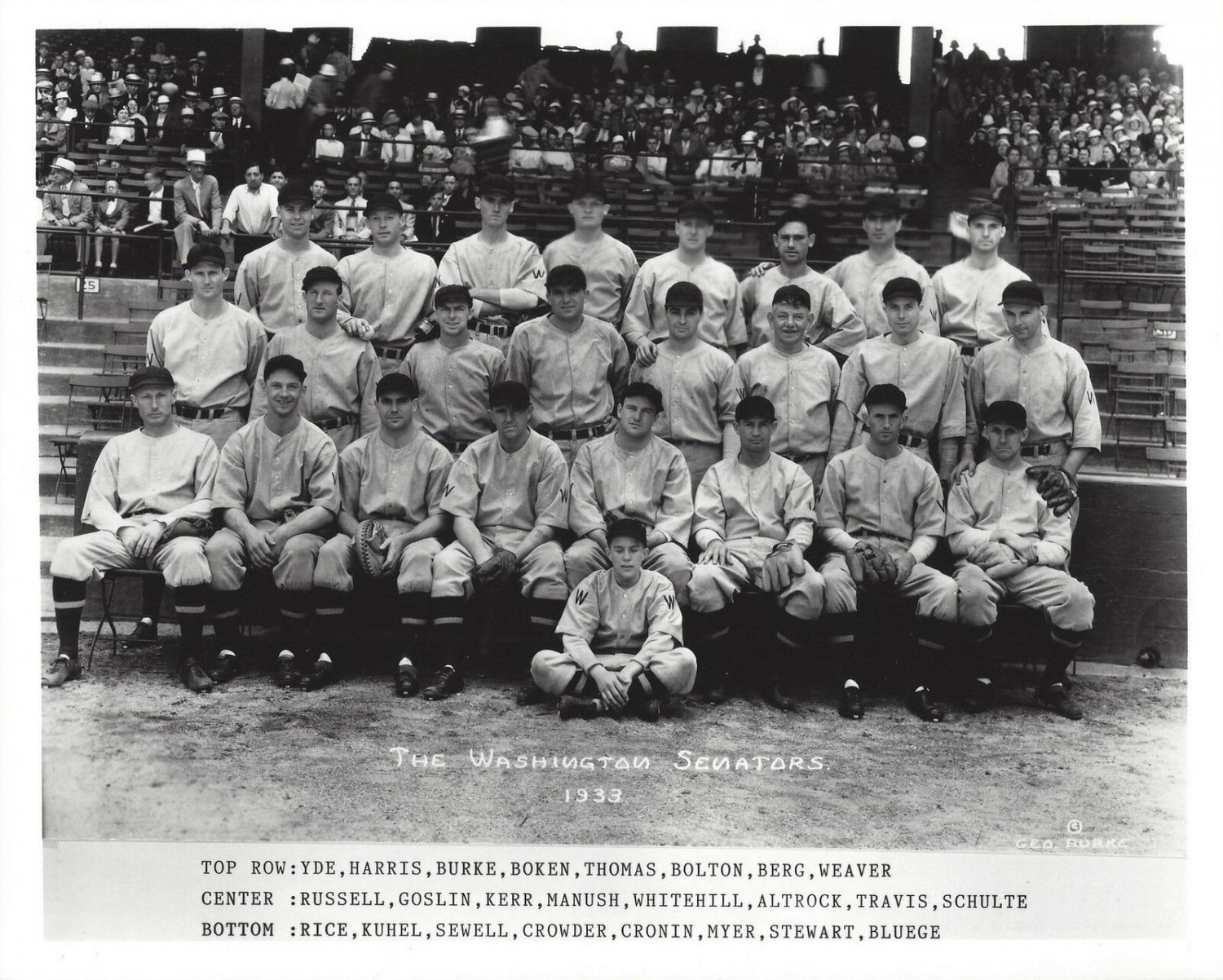 1933 WASHINGTON SENATORS 8X10 TEAM PHOTO MLB BASEBALL PICTURE