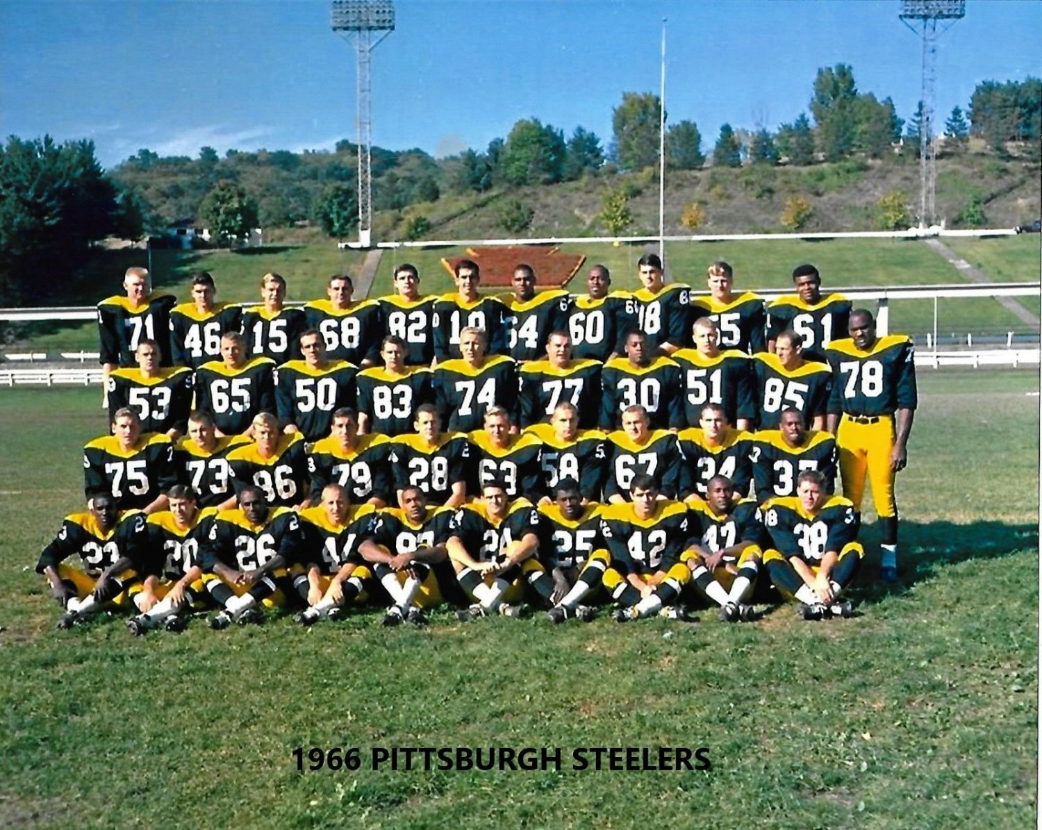 1966 PITTSBURGH STEELERS 8X10 TEAM PHOTO NFL FOOTBALL PICTURE COLOR
