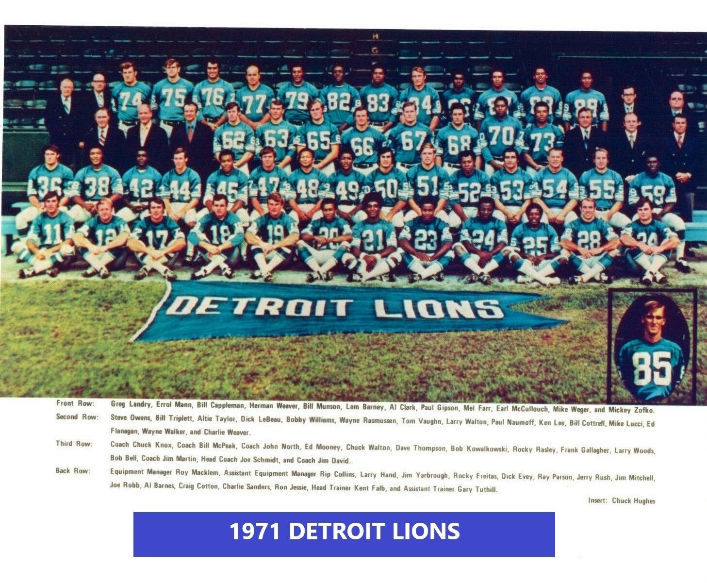 1971 DETROIT LIONS 8X10 TEAM PHOTO FOOTBALL NFL PICTURE
