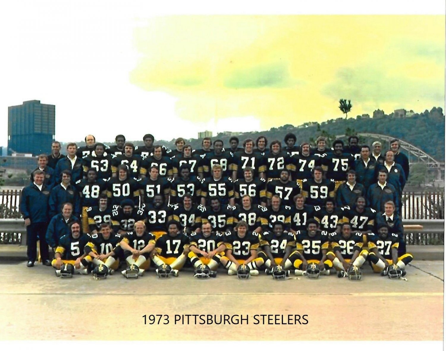 1973 PITTSBURGH STEELERS 8X10 TEAM PHOTO NFL FOOTBALL PICTURE