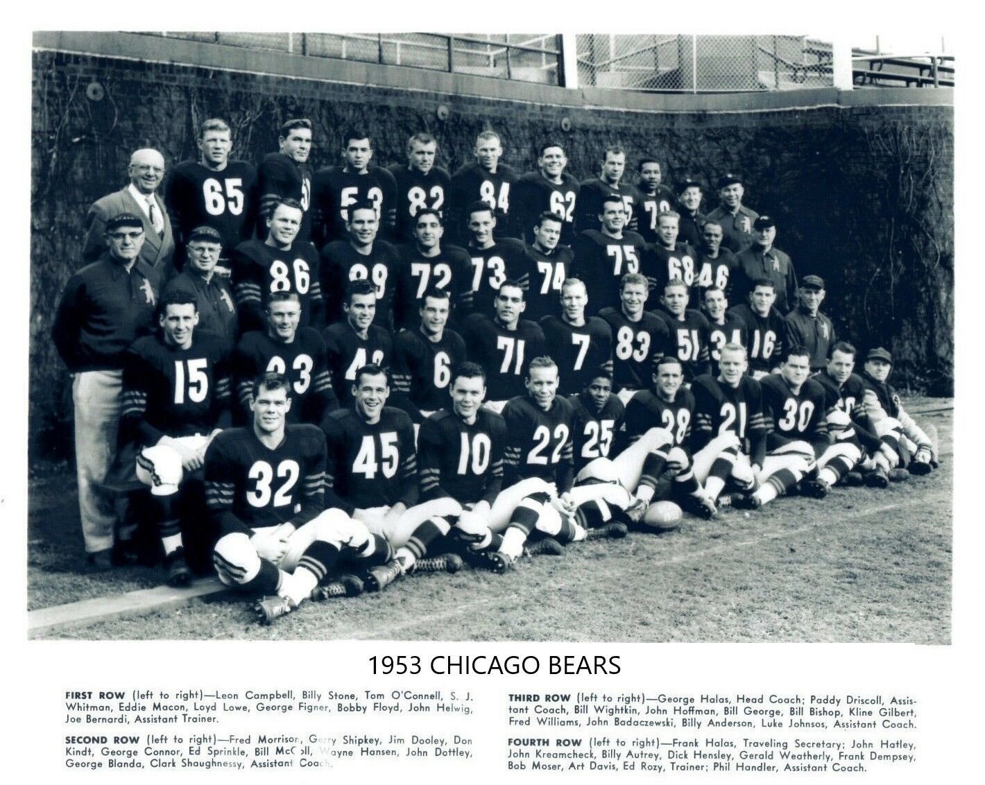 1953 CHICAGO BEARS 8X10 TEAM PHOTO FOOTBALL NFL PICTURE