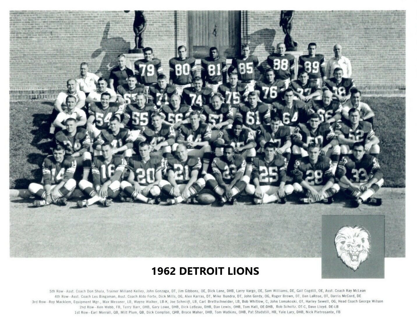 1962 DETROIT LIONS 8X10 TEAM PHOTO FOOTBALL NFL PICTURE